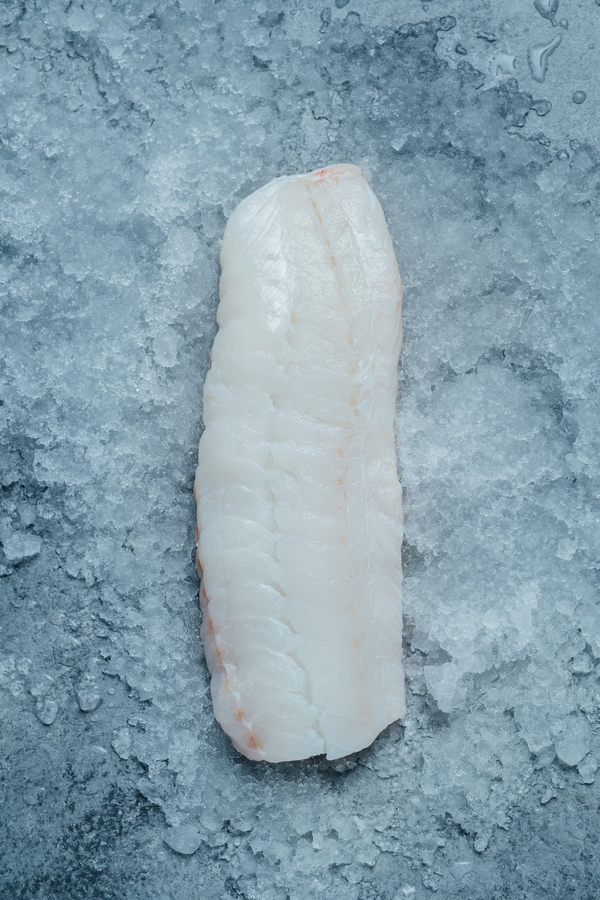 Fresh Wild Iceland Cod Loin by Oysterblood - SmoothiesGo