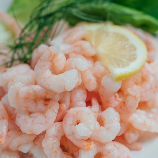 Fresh Peeled Wild Matane Shrimp from Quebec 2.5 pounds - SmoothiesGo